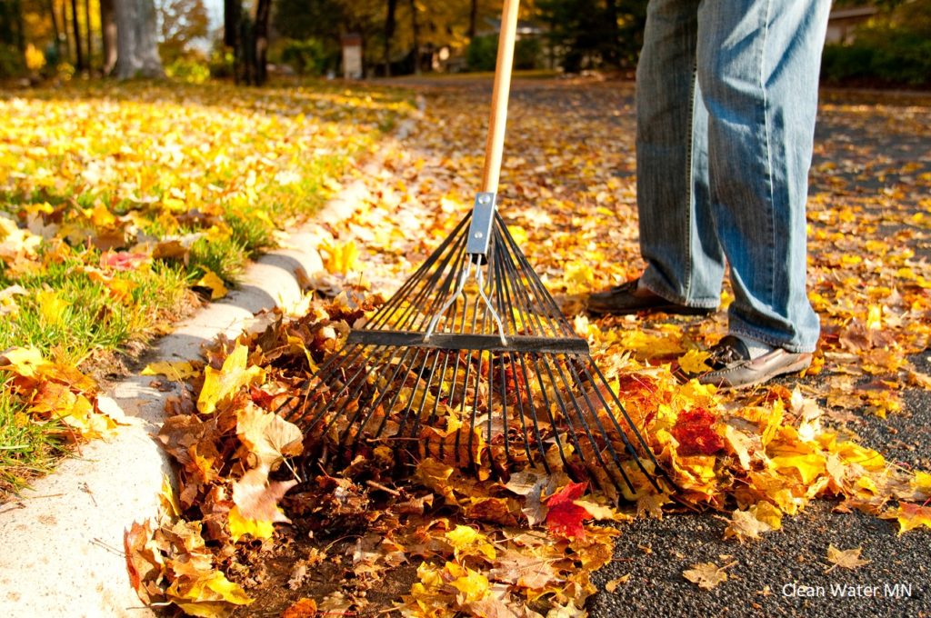 Clean up fall leaves and stormdrains - Nine Mile Creek Watershed District