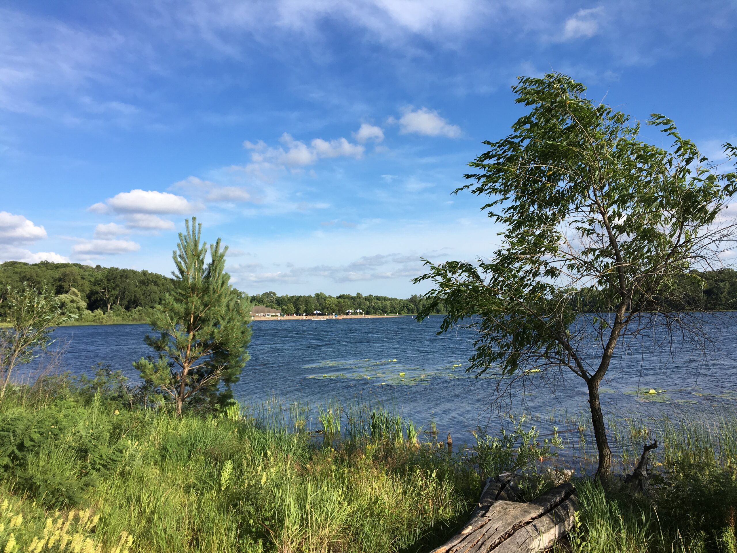 Bush Lake Study - Nine Mile Creek Watershed District