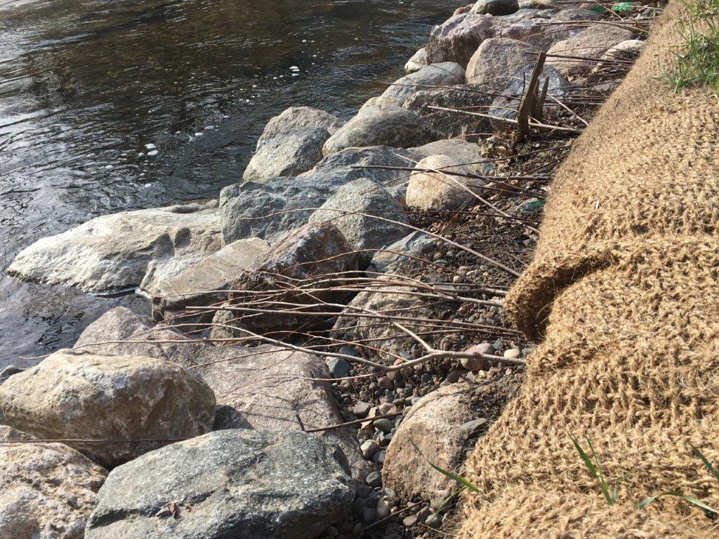 Nine Mile Creek Streambank Stabilization Project in Edina