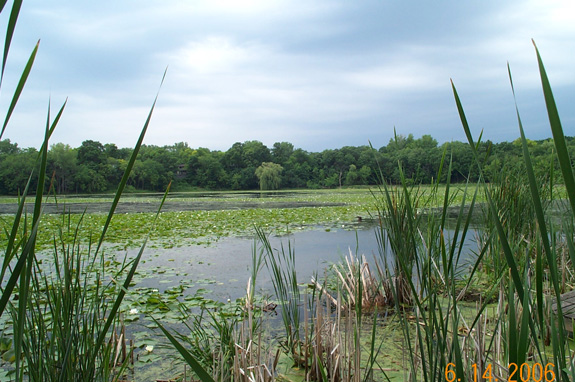 Lake Rose - Nine Mile Creek Watershed District