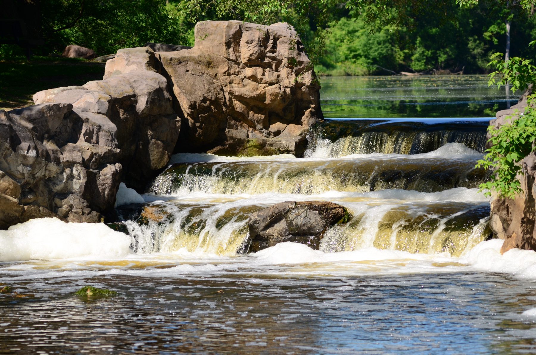 Normandale Lake Herbicide Treatment - Nine Mile Creek Watershed District