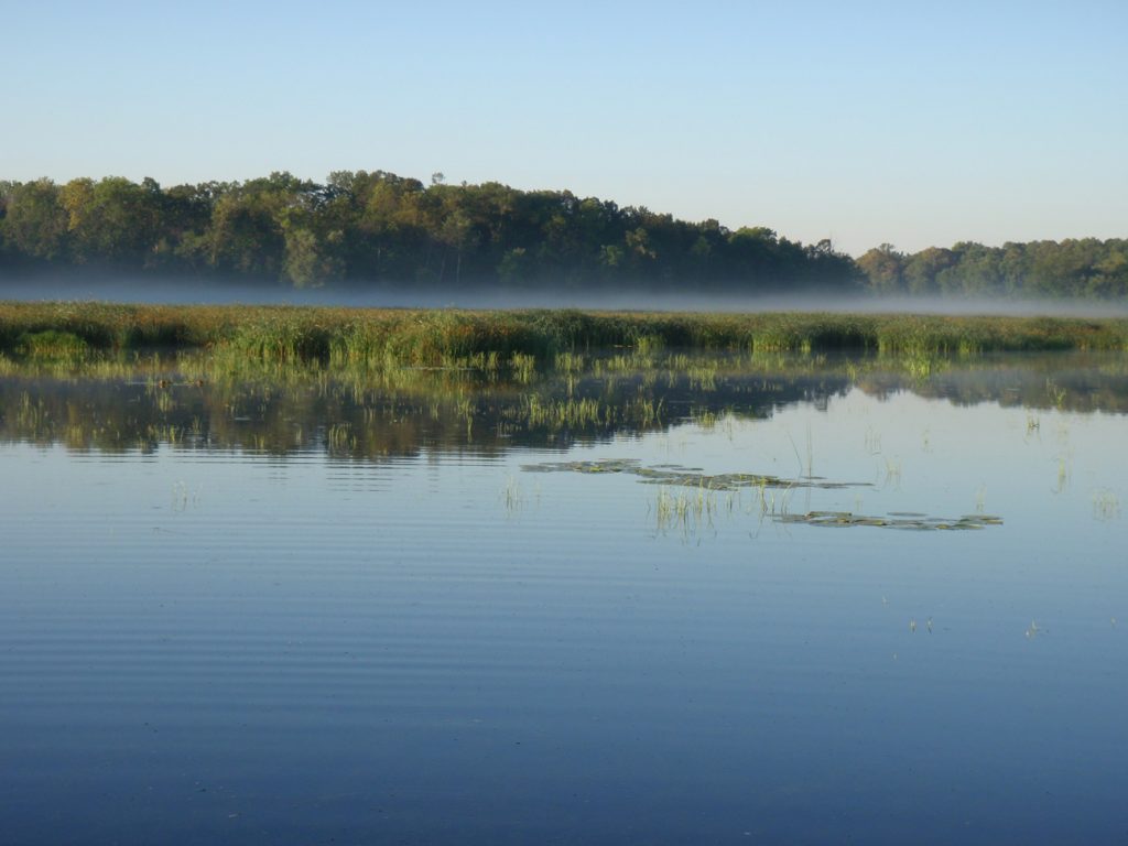 Northwest and Southwest Anderson Lakes Drawdown Project - Nine Mile ...