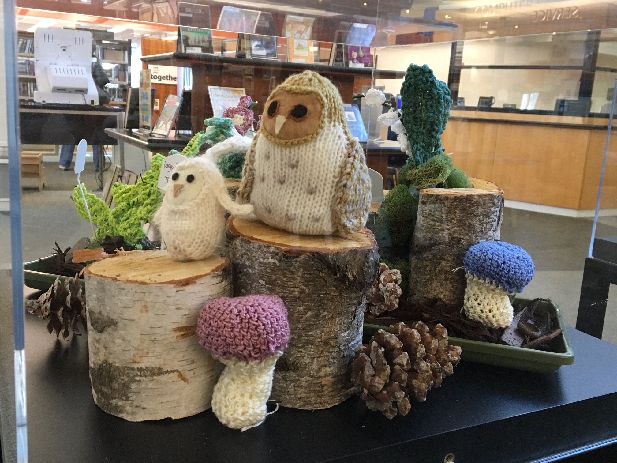 Putting Down Roots Exhibit has Moved - Nine Mile Creek Watershed District
