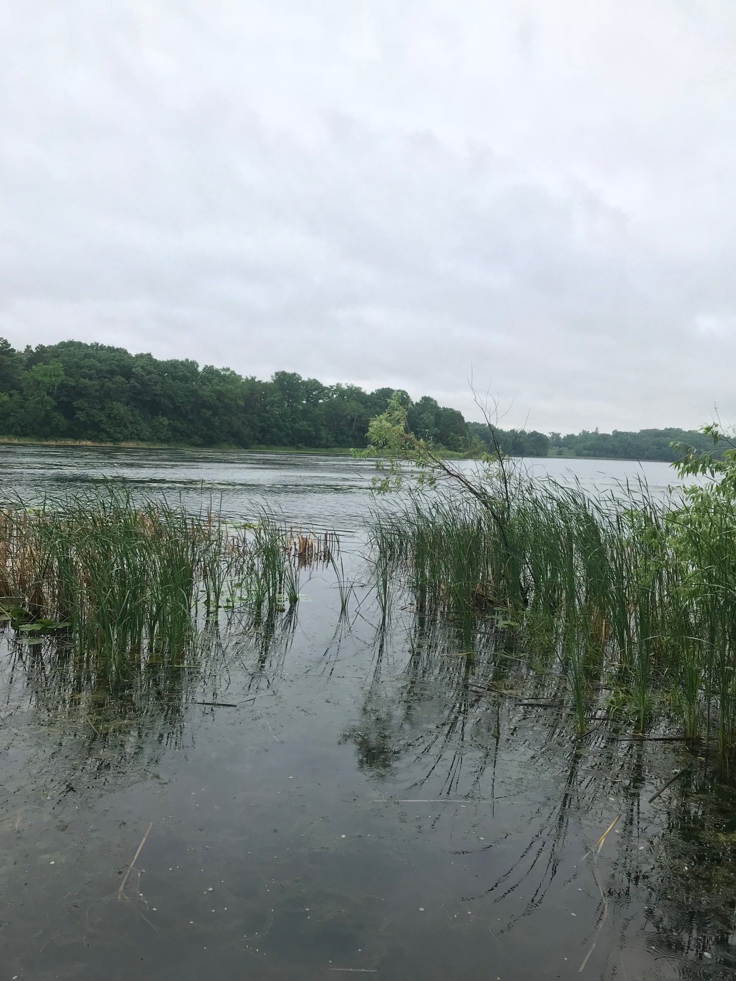 Southeast Anderson Lake - Nine Mile Creek Watershed District